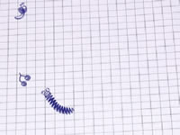 Jouer à Notepad Snake - Jeux gratuits en ligne avec Jeux.org